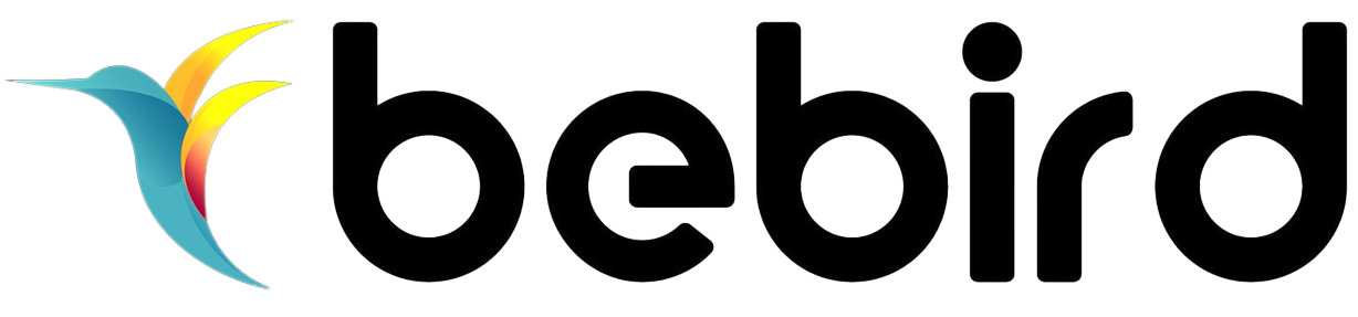 Produkter – Enkel ørevoksfjerner med kamera | Bebird®